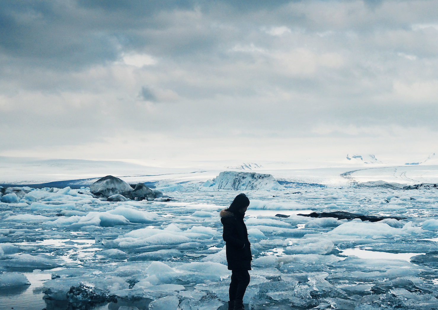 How heavy winter rainfall in the Arctic is threatening ecosystems