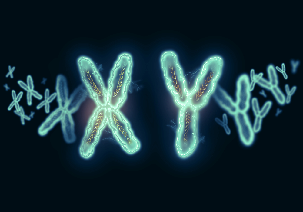 Geneticists Sex Depends On More Than XX Or XY Chromosome Earth