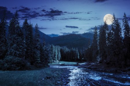 The negative impacts of light pollution on streams and wetlands • Earth.com