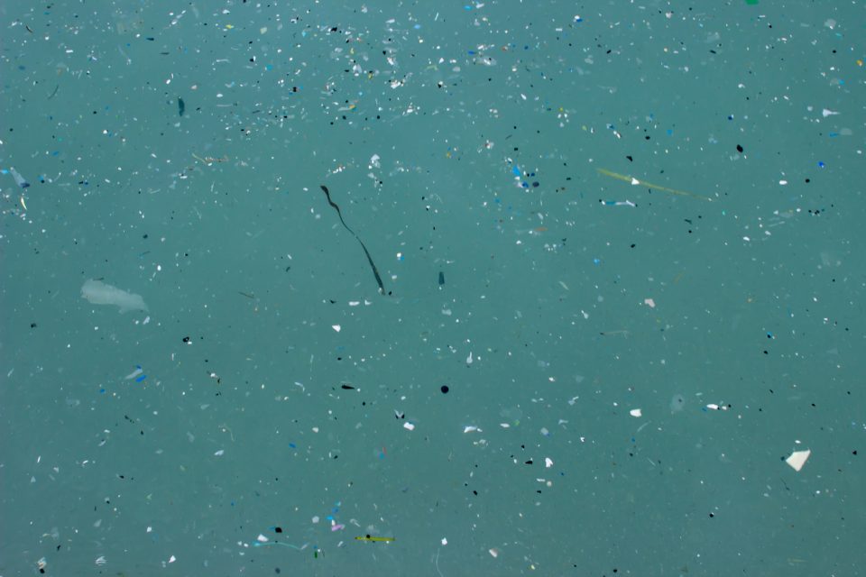 A new technique for detecting microplastics in water bodies • Earth.com