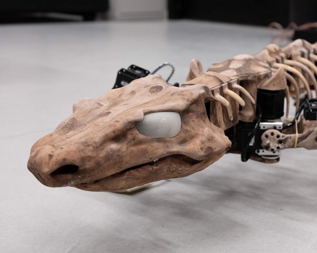 Scientists reconstruct 290 million-year-old lizard as a robot • Earth.com
