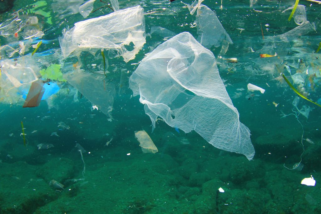 Plastic particles are being bound together by biopolymers in the ocean ...