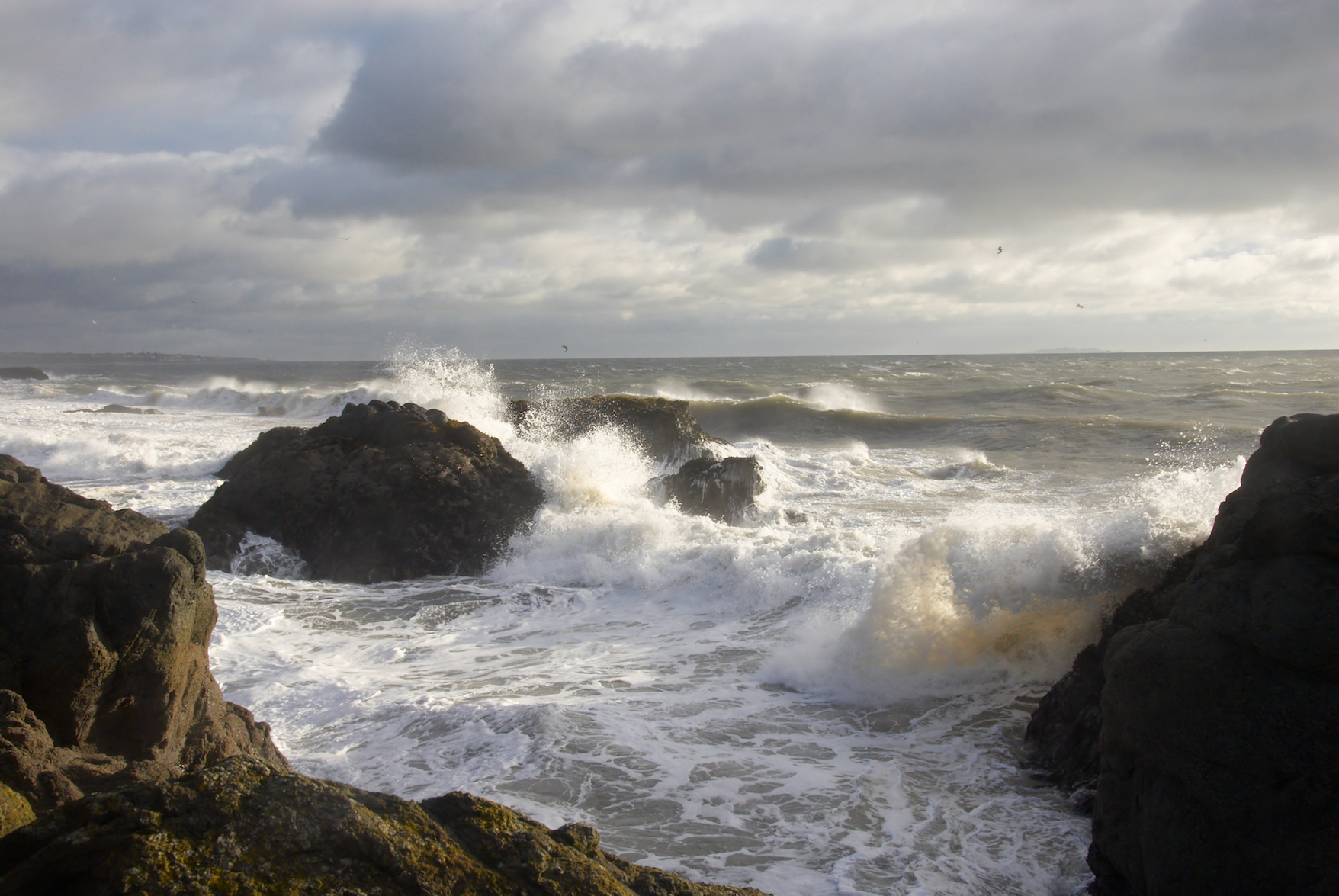 Inexpensive wave energy generators could power millions of homes ...