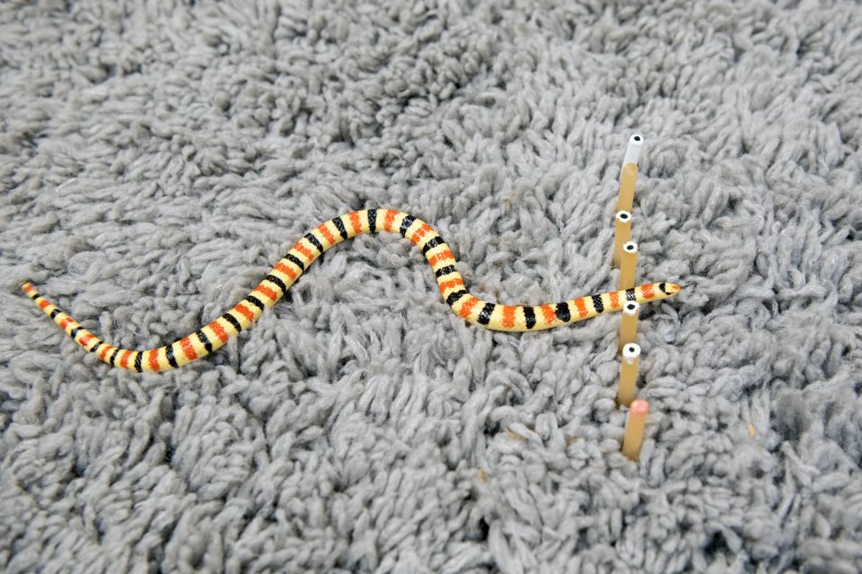 Slithering snakes bounce off of obstacles like light waves - Earth.com