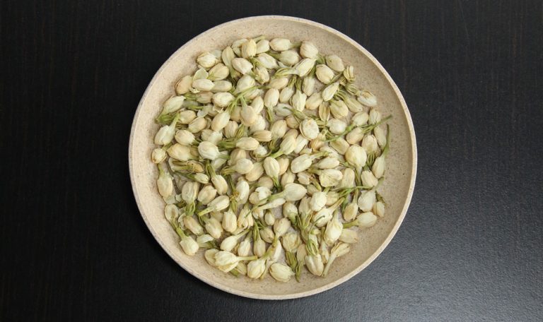 What's So Great About the Jasmine Flower? - Earth.com