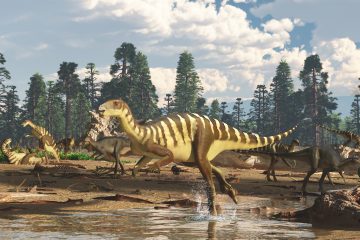 New small dinosaur species discovered in southeastern Australia • Earth.com