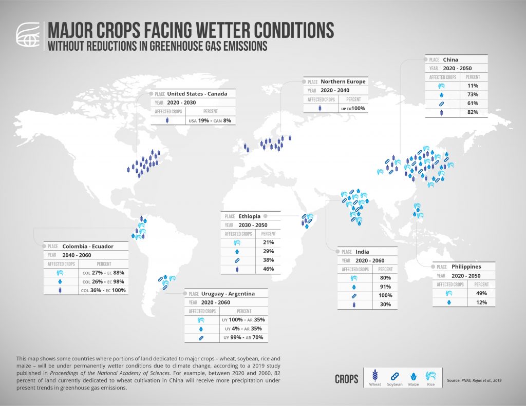 Changes in precipitation expected to impact vital crops worldwide