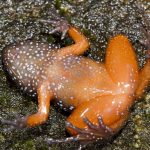 Kids now spend twice as much time playing indoors than outdoors • Earth.com