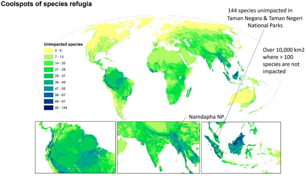Scientists pinpoint areas where wild animals can seek refuge from humans
