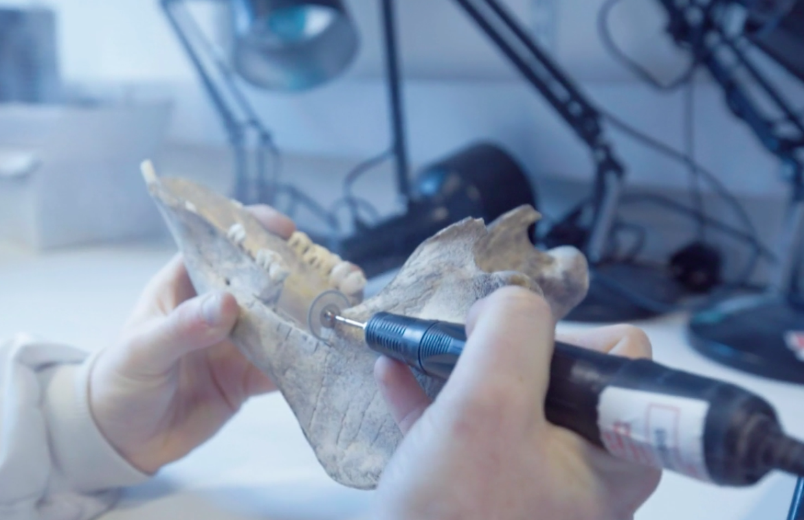 Evidence of prehistoric large-scale celebrations found near Stonehenge ...