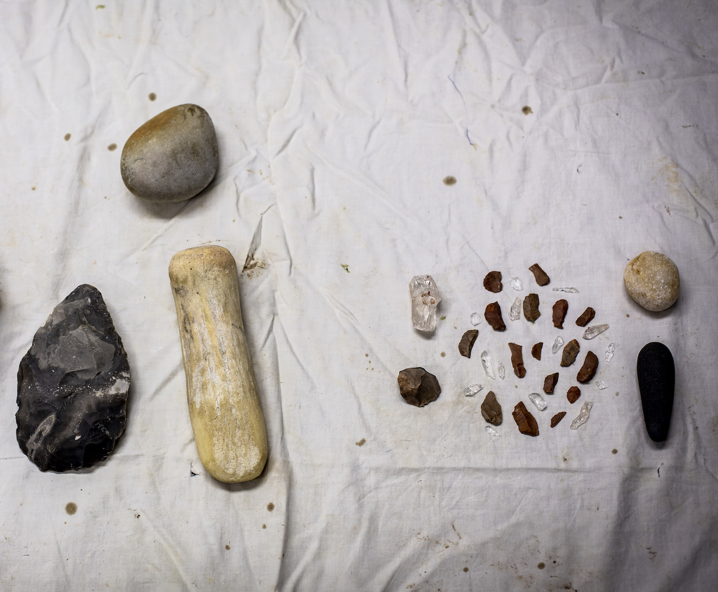 The miniaturization of tools is a specifically human trait - Earth.com