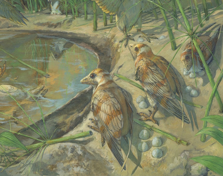 Fossilized bird is providing insight into avian reproduction - Earth.com