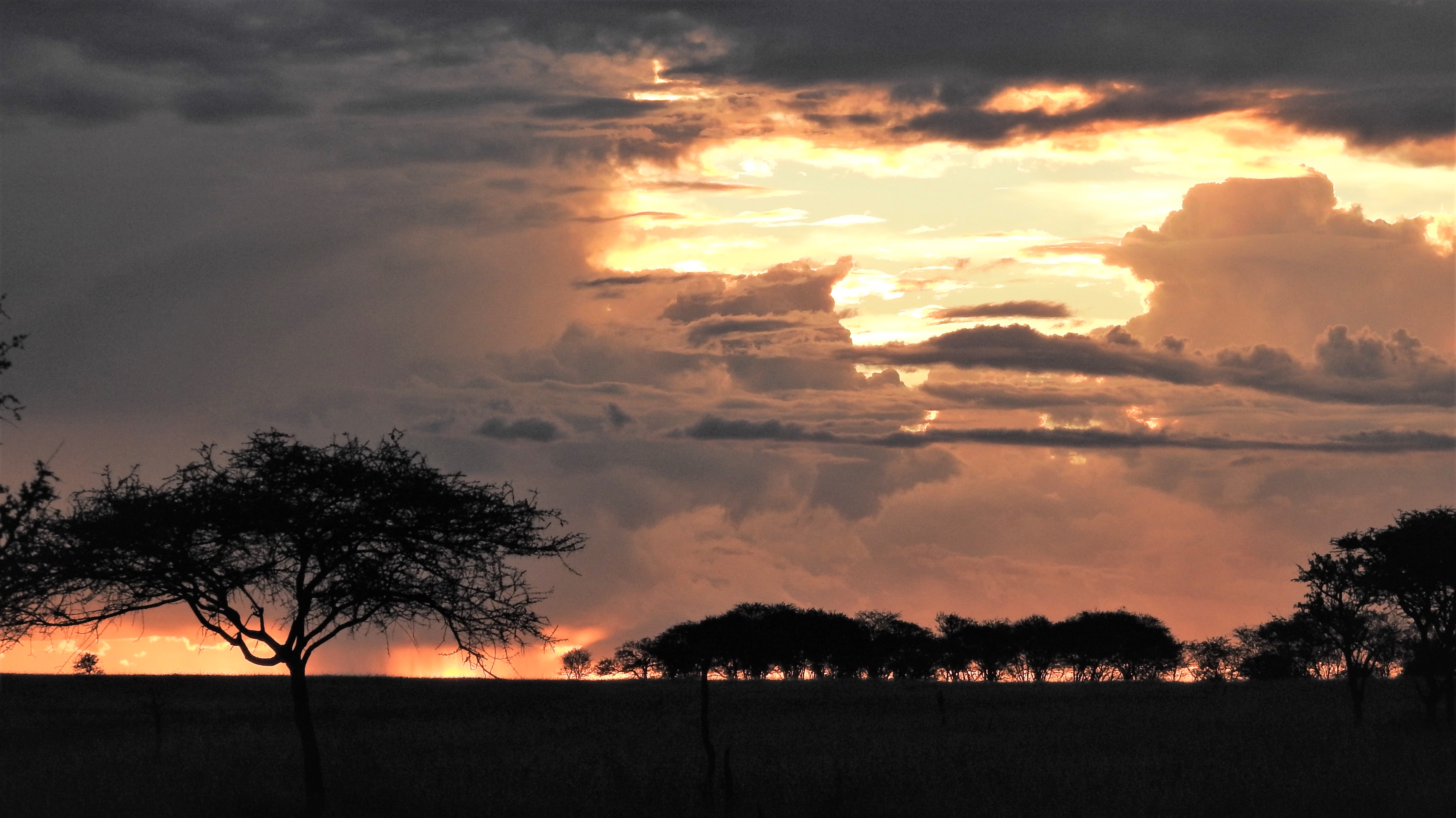 The iconic Serengeti-Mara ecosystem is being stifled by human activity ...