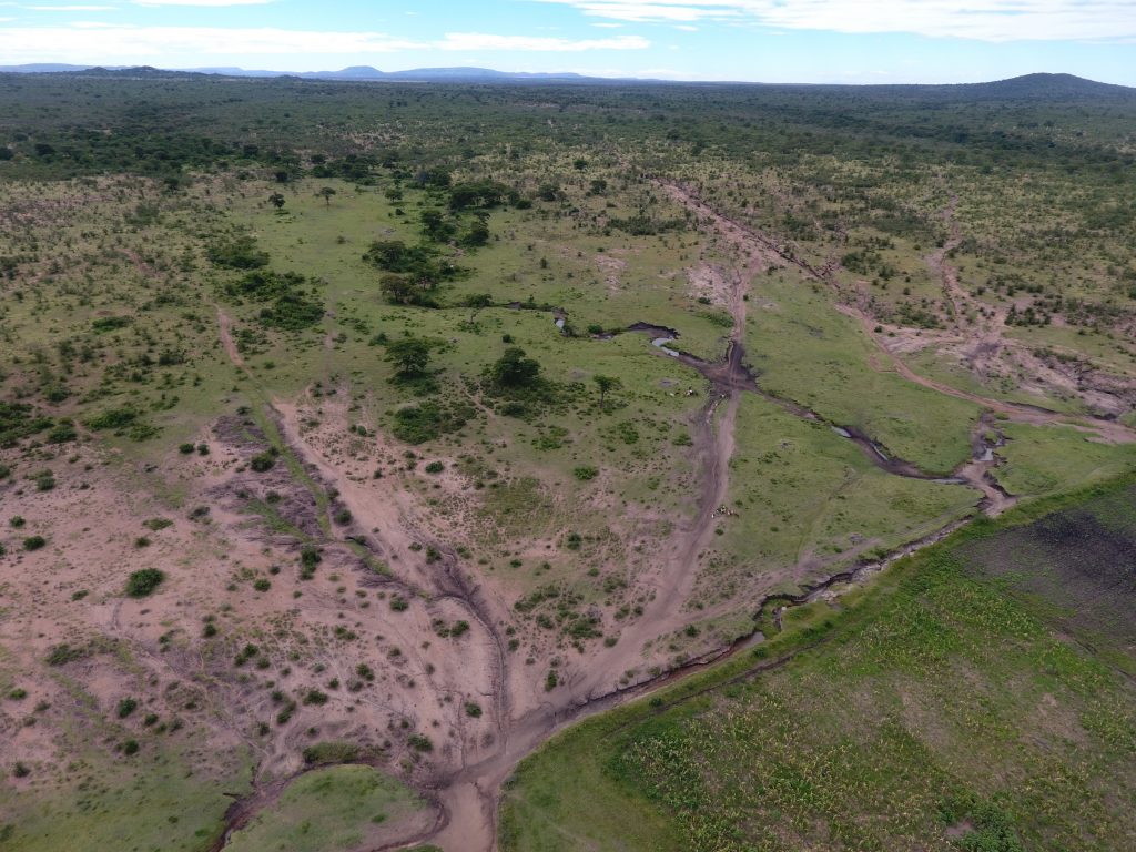 The iconic Serengeti-Mara ecosystem is being stifled by human activity ...