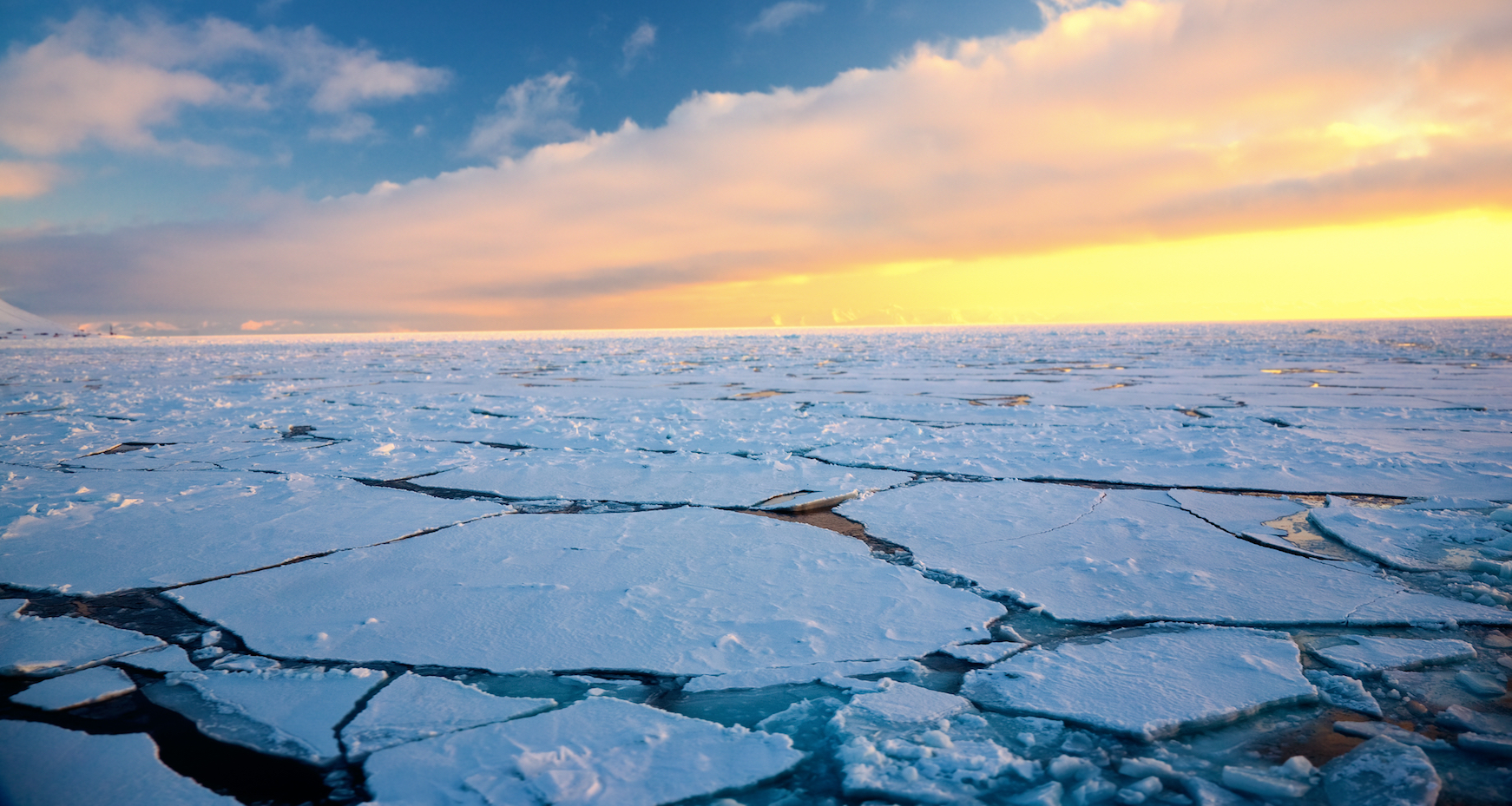 Young sea ice is melting before it can make its transarctic journey ...