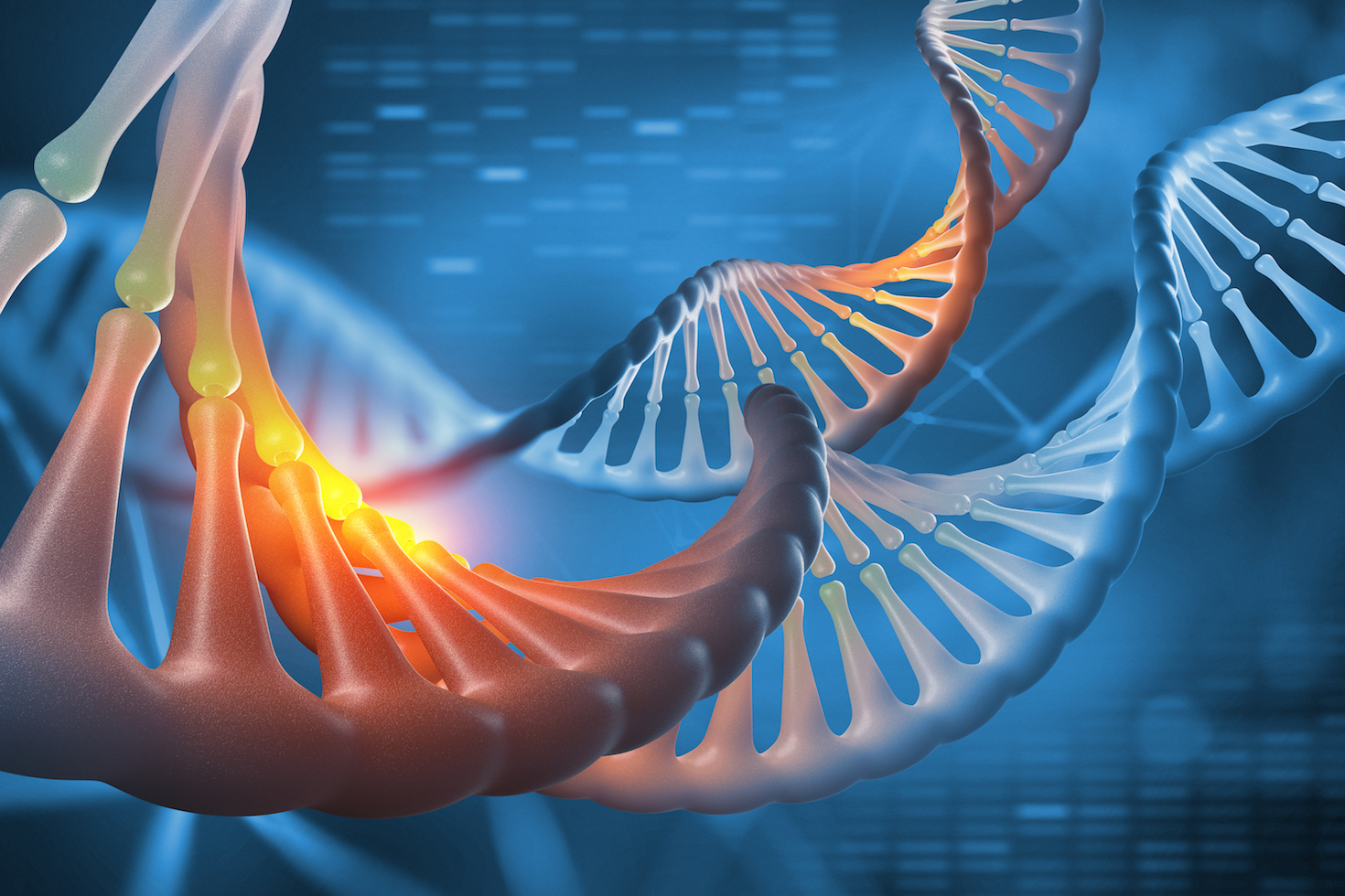 Experts identify regions of the genome that promote facial beauty ...