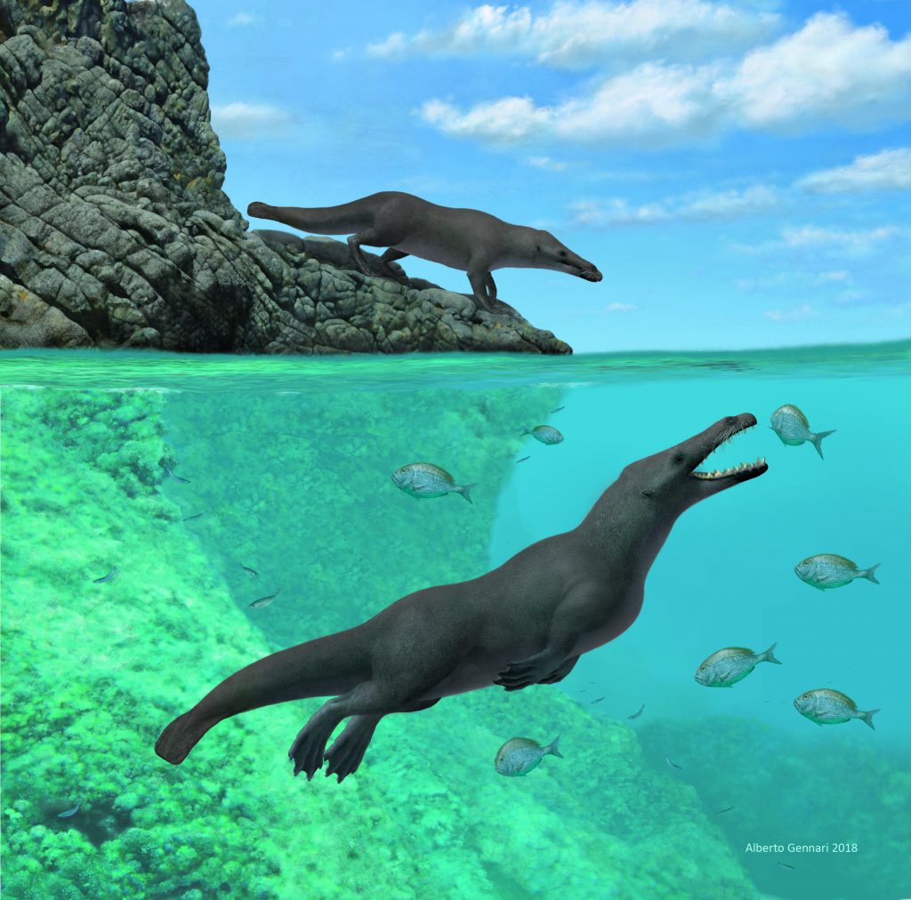 Prehistoric, four-legged whale found on Peruvian coast - Earth.com