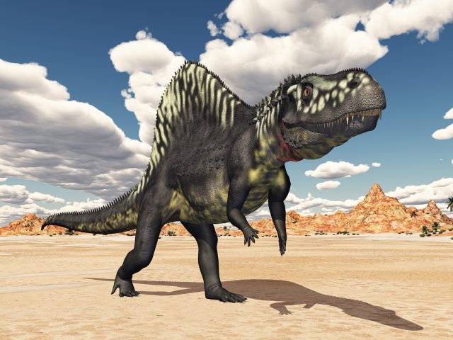 Crocodiles and birds have more in common than you might think - Earth.com