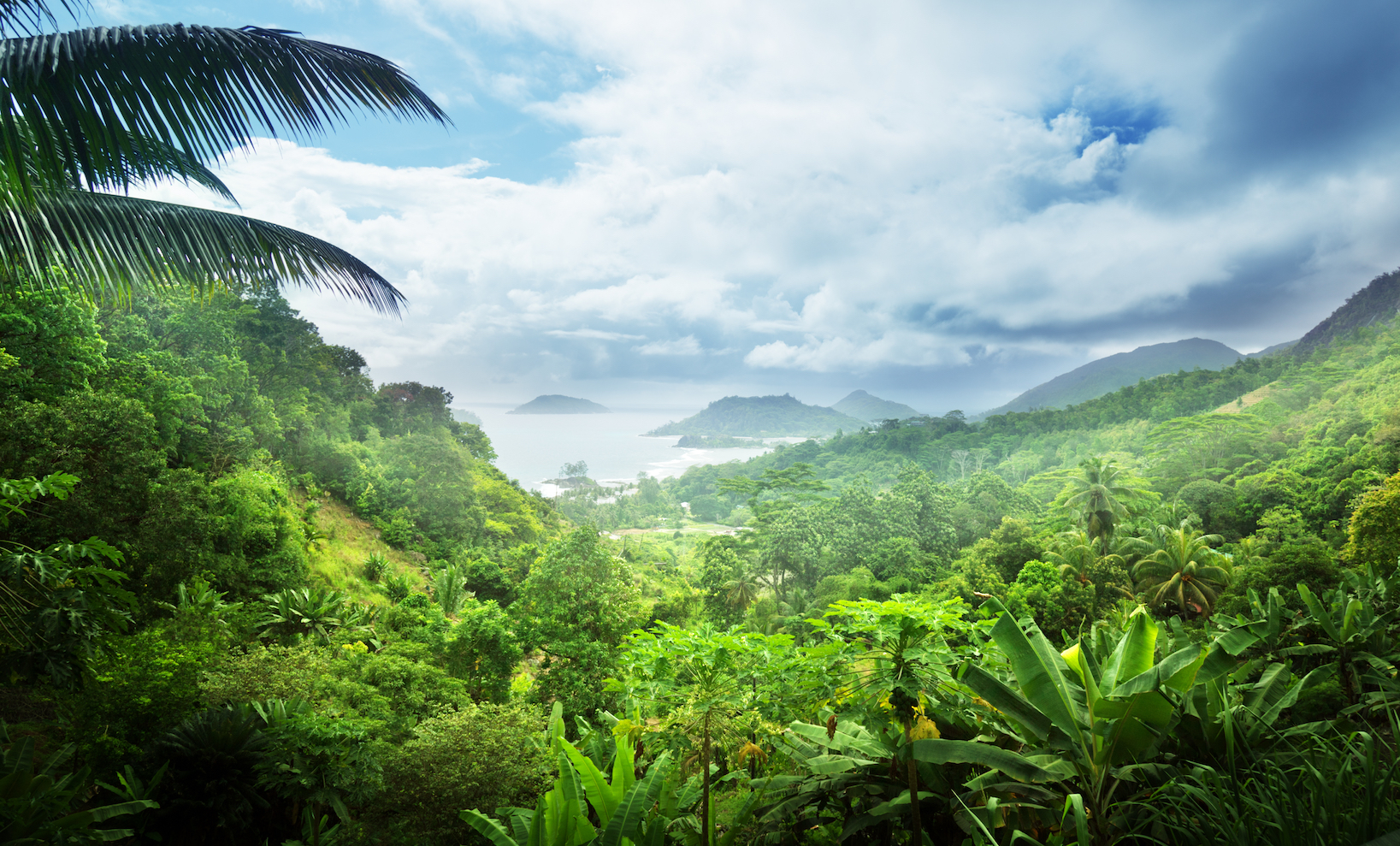 Harnessing the power of plants to fight climate change - Earth.com