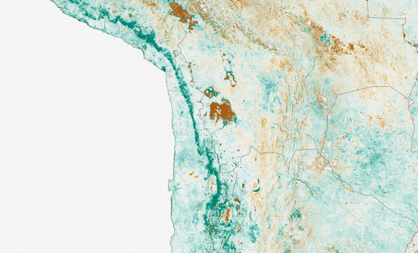 The Atacama Desert turns green • Earth.com