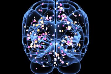 Scientists identify the brain region that processes value decisions ...