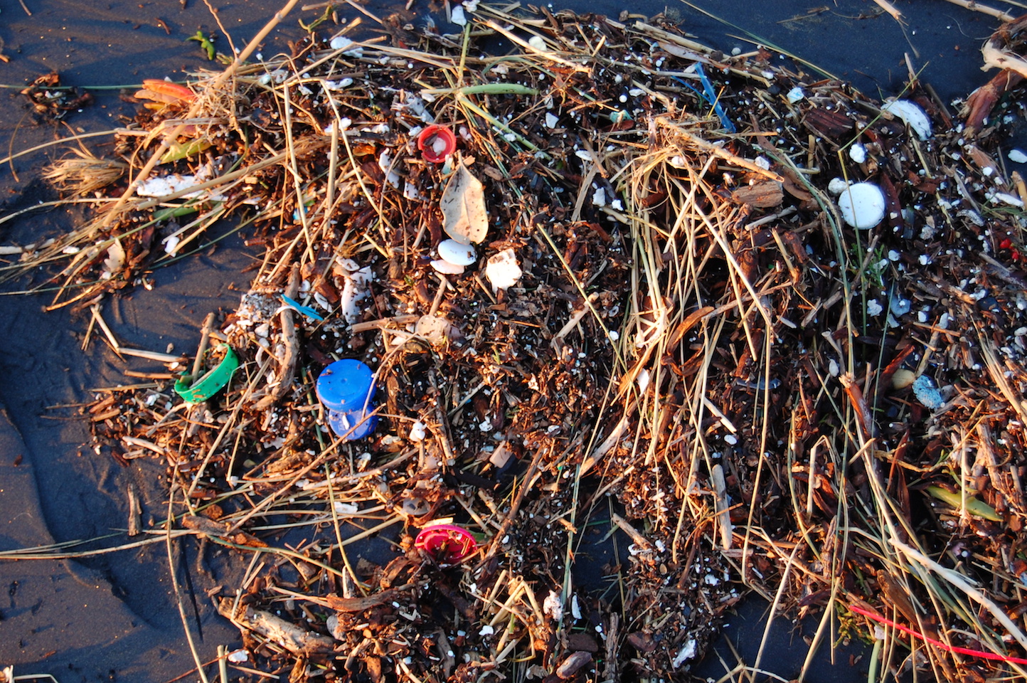 Bacteria that are crucial to oxygen production are harmed by plastic ...