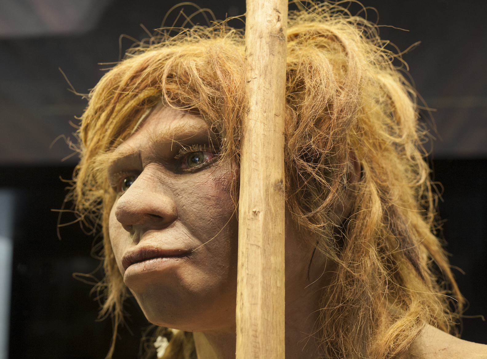 Humans Started Having Sex With Neanderthals Over 100 Vrogue co