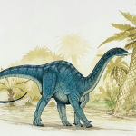 What is the water cycle? • Earth.com