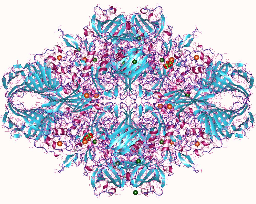 What Is Proteomics? - Earthpedia - Earth.com