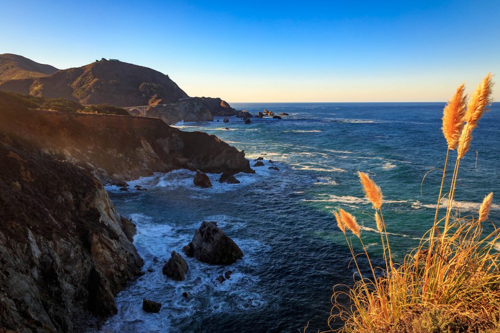 Microplastics have penetrated marine food webs in Monterey Bay • Earth.com