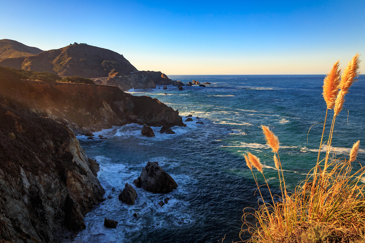 Microplastics have penetrated marine food webs in Monterey Bay - Earth.com