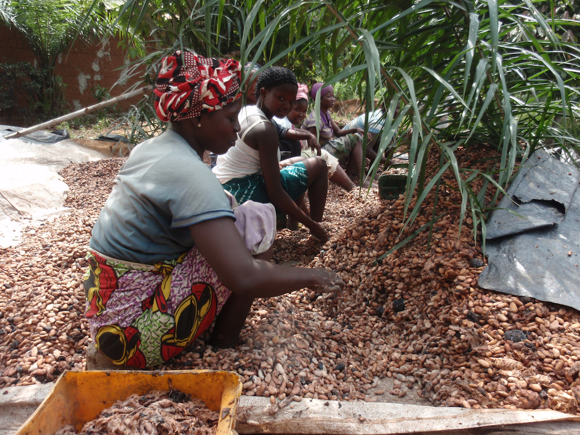 Consumers could reduce cocoa farm child labor if they’re willing to pay ...
