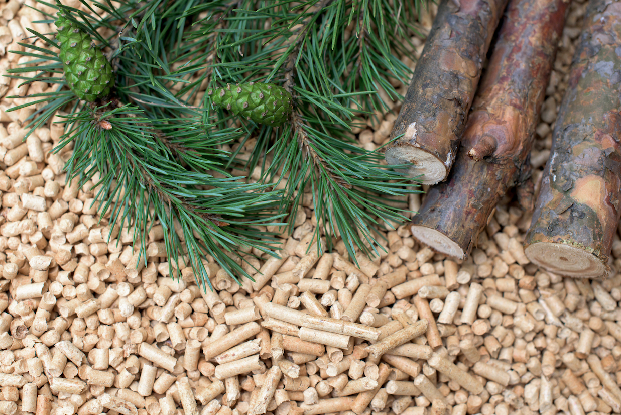 Biomass and solar power can be turned into hydrogen and diesel fuels ...