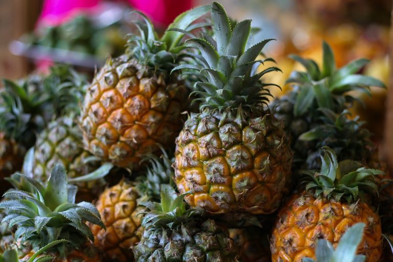 How Do Pineapples Grow? - Earthpedia - Earth.com