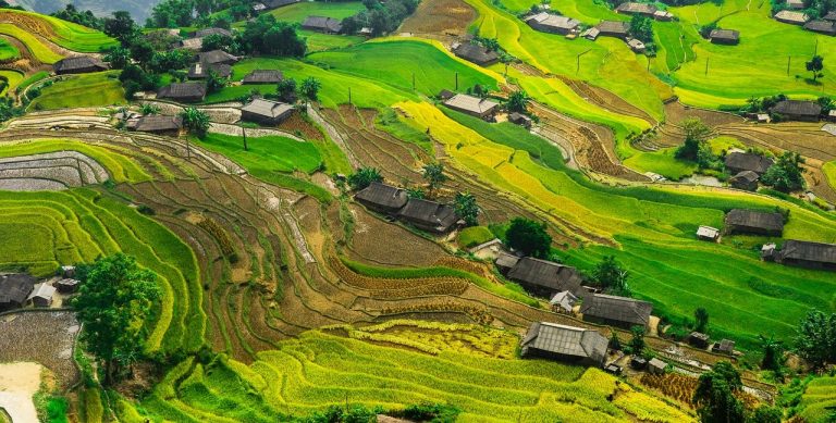 What Is Terrace Farming? - Earthpedia - Earth.com