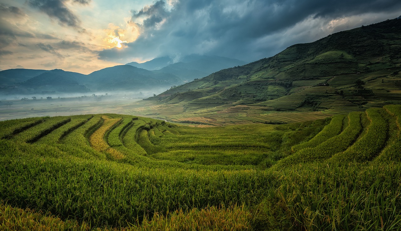 What Is Terrace Farming PlantSnap What Is Terrace Farming PlantSnap