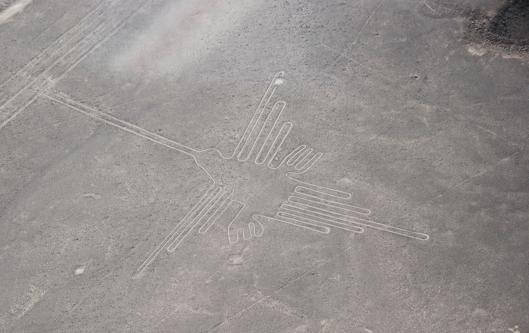 Identifying the enormous bird carvings in the Peruvian desert - Earth.com