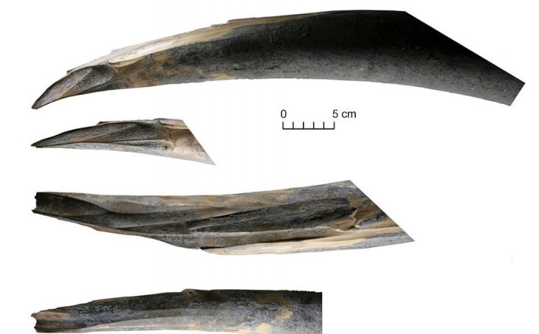 Ancient man-made weapons found alongside the remains of a woolly mammoth