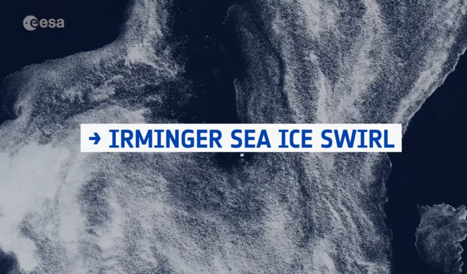 Ice meanders in the Irminger Sea - Ice meanders in the Irminger Sea