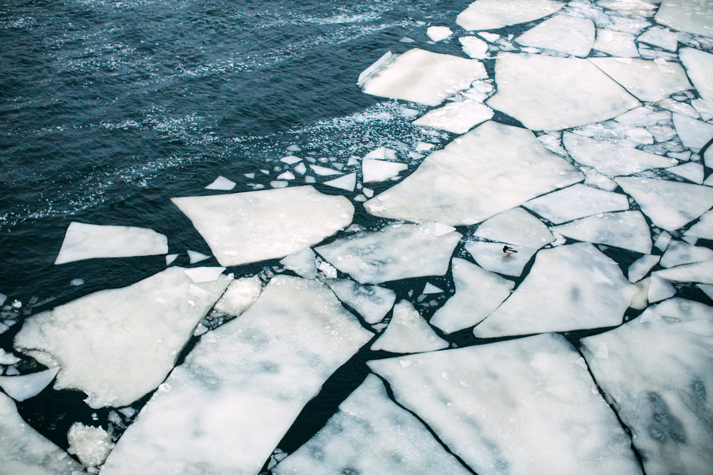 The Arctic may be ice-free after just two degrees of global warming ...