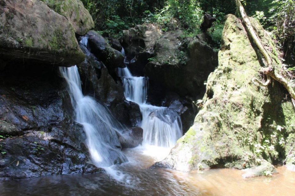 Ghana plans to mine Atewa Forest despite its ecological importance ...