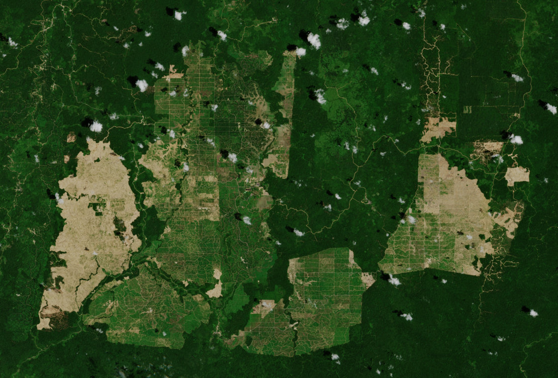 Palm oil plantations of Borneo from space - Earth.com