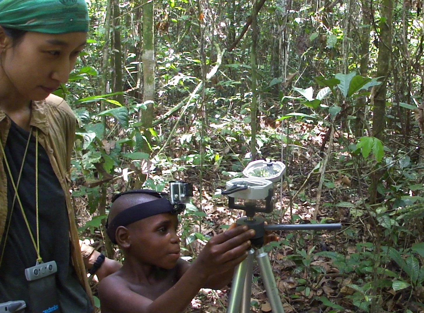 Navigation skills develop early on among rainforest hunter-gatherers ...