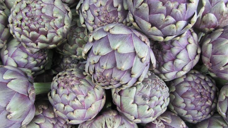 Most Popular Edible Flowers (And How to Eat Them) - Earth.com