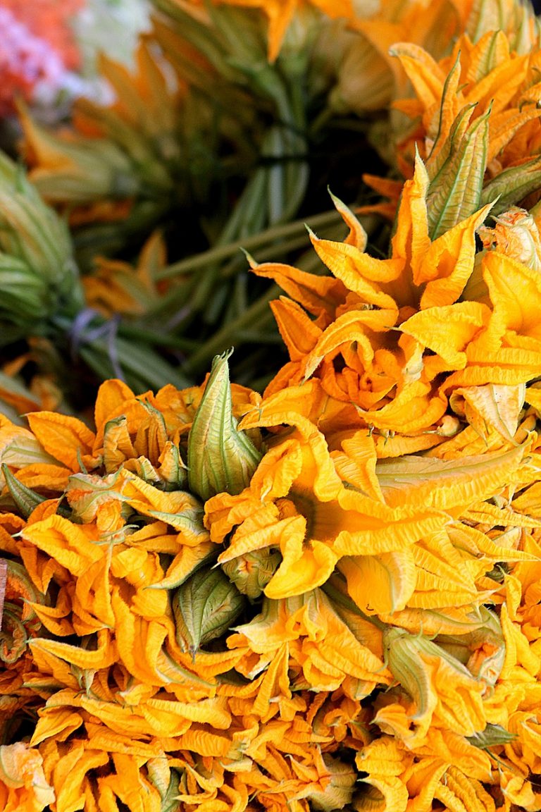 Most Popular Edible Flowers (And How to Eat Them) - Earth.com