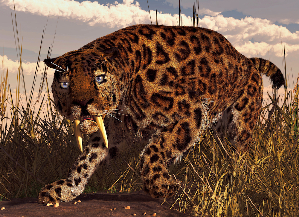 Predators that survived Pleistocene extinction had the most flexible ...