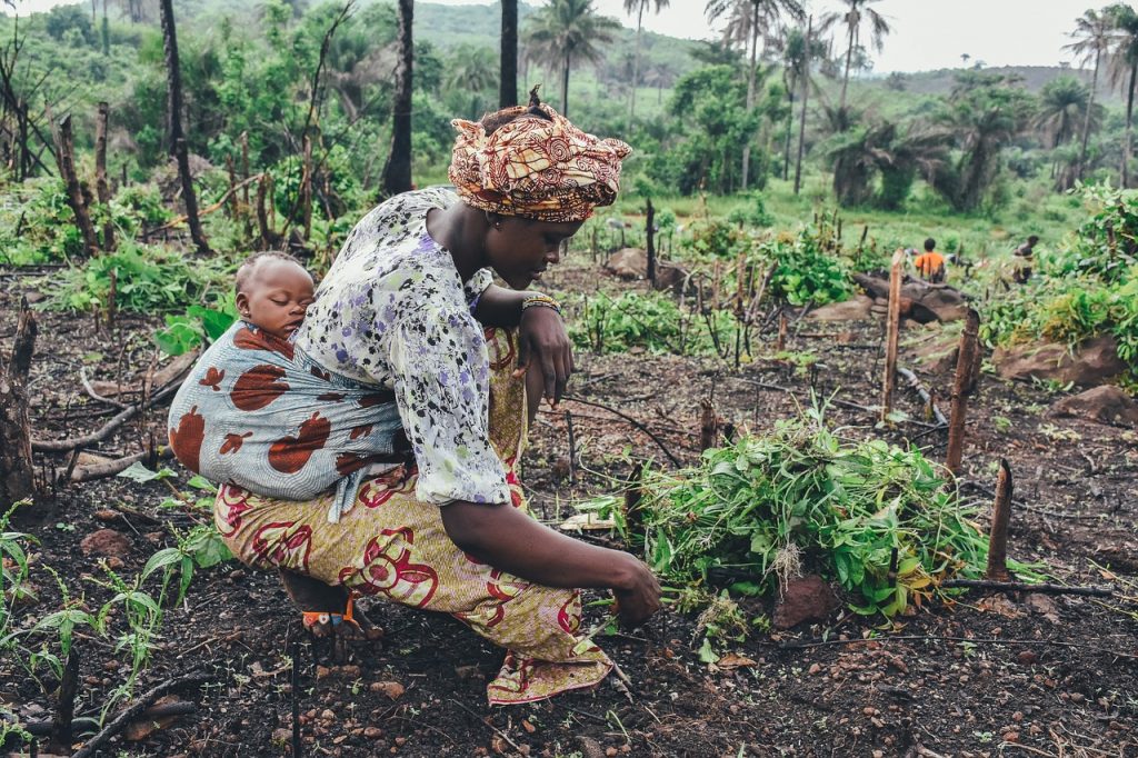 What Is Subsistence Farming? - Earthpedia - Earth.com