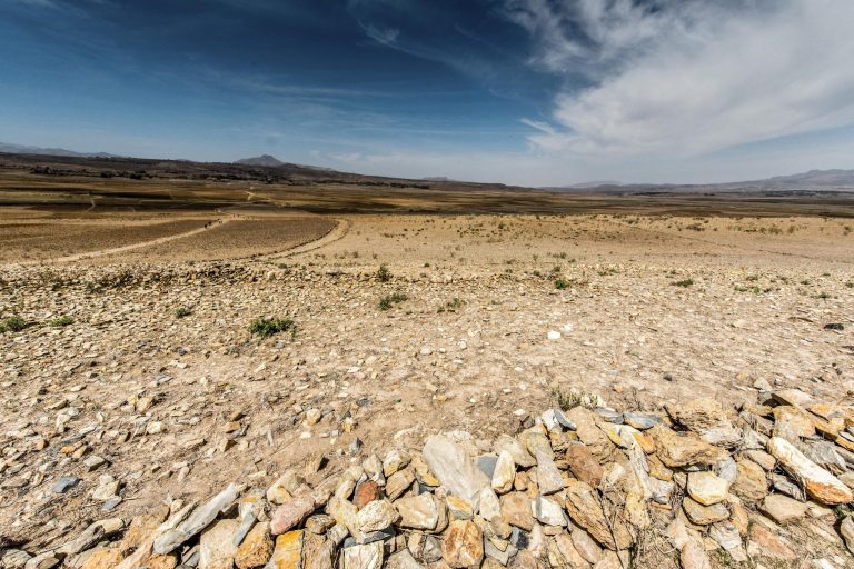 Unsustainable land use is threatening our global food supply • Earth.com