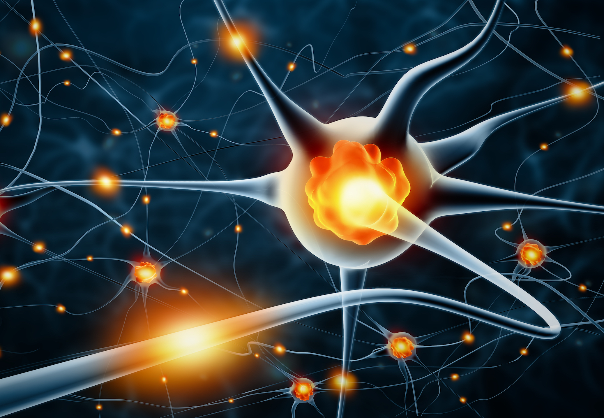 Psychophysical laws explore how the mind perceives the physical world ...