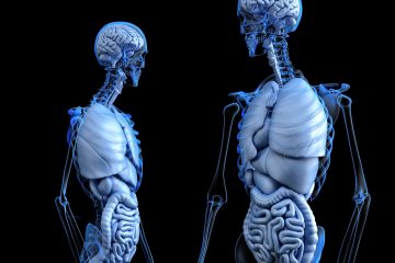 What Are Humans Made Of? - Earthpedia - Earth.com